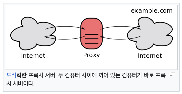 [TIL] Proxy 개념 정리 | 코드너리