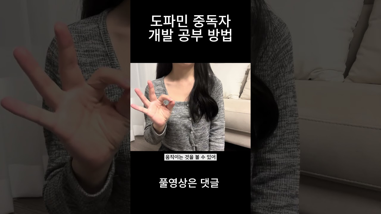 도파민 중독자 개발자가 추천하는 개발 공부 방법 코딩 프로그래밍 코드너리