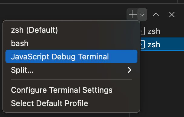 Javascript Debug Terminal 코드너리